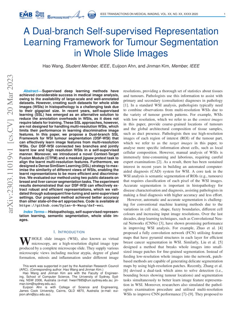 A Dual Branch Self Supervised Representation Learning Framework For