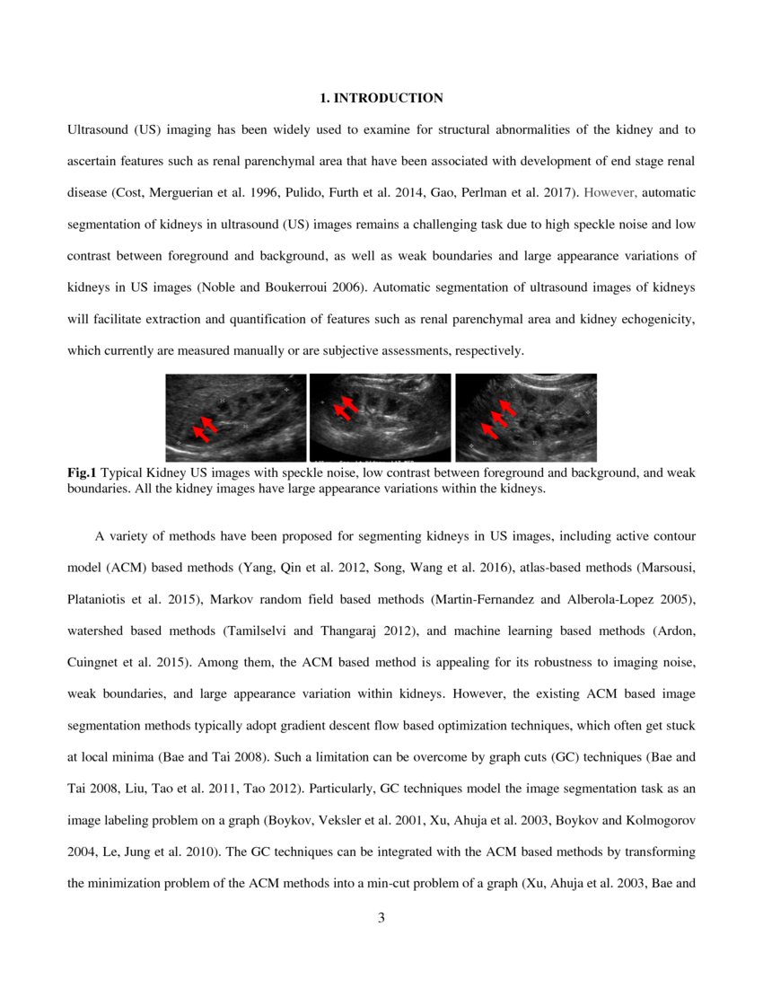 A dynamic graph-cuts method with integrated multiple feature maps for ...