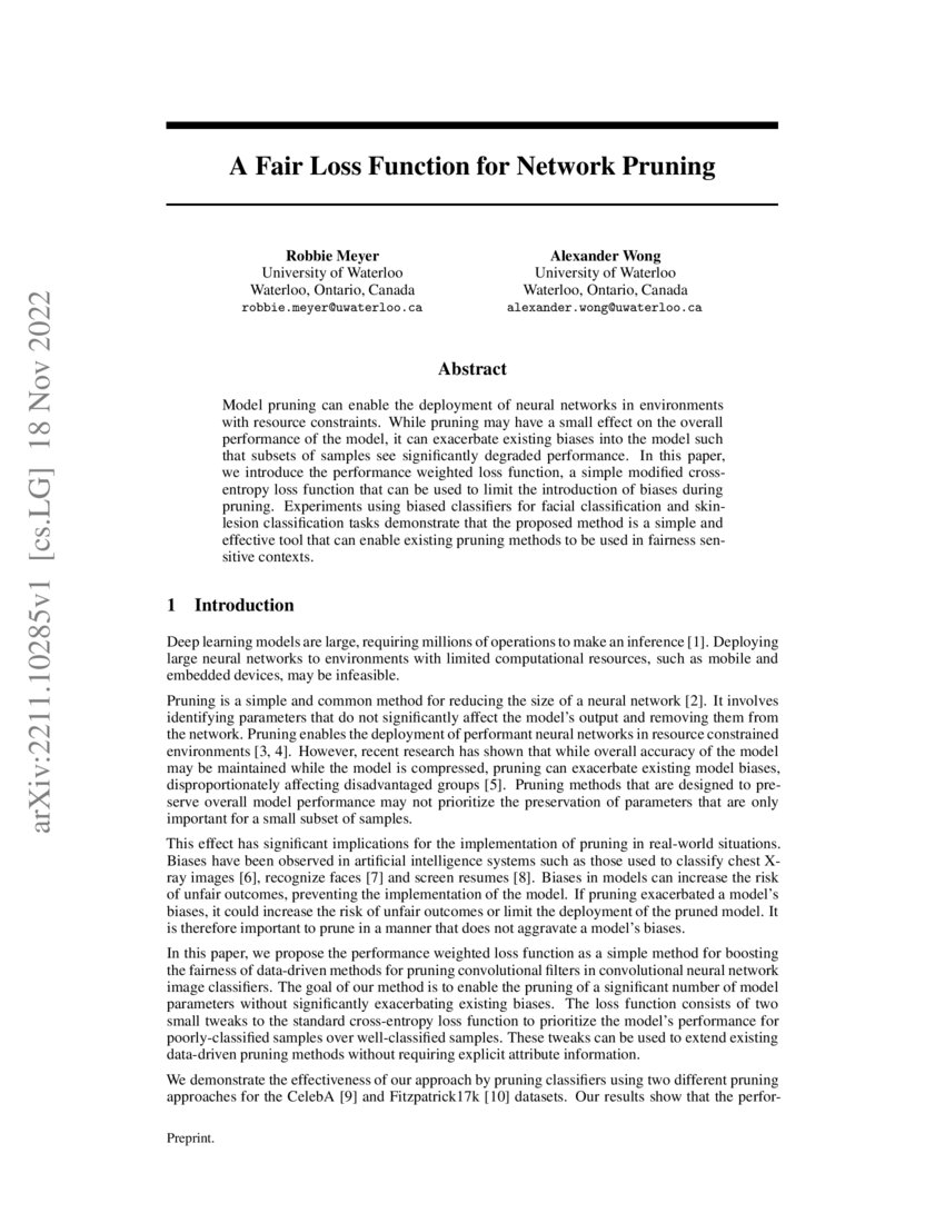 A Fair Loss Function for Network Pruning | DeepAI