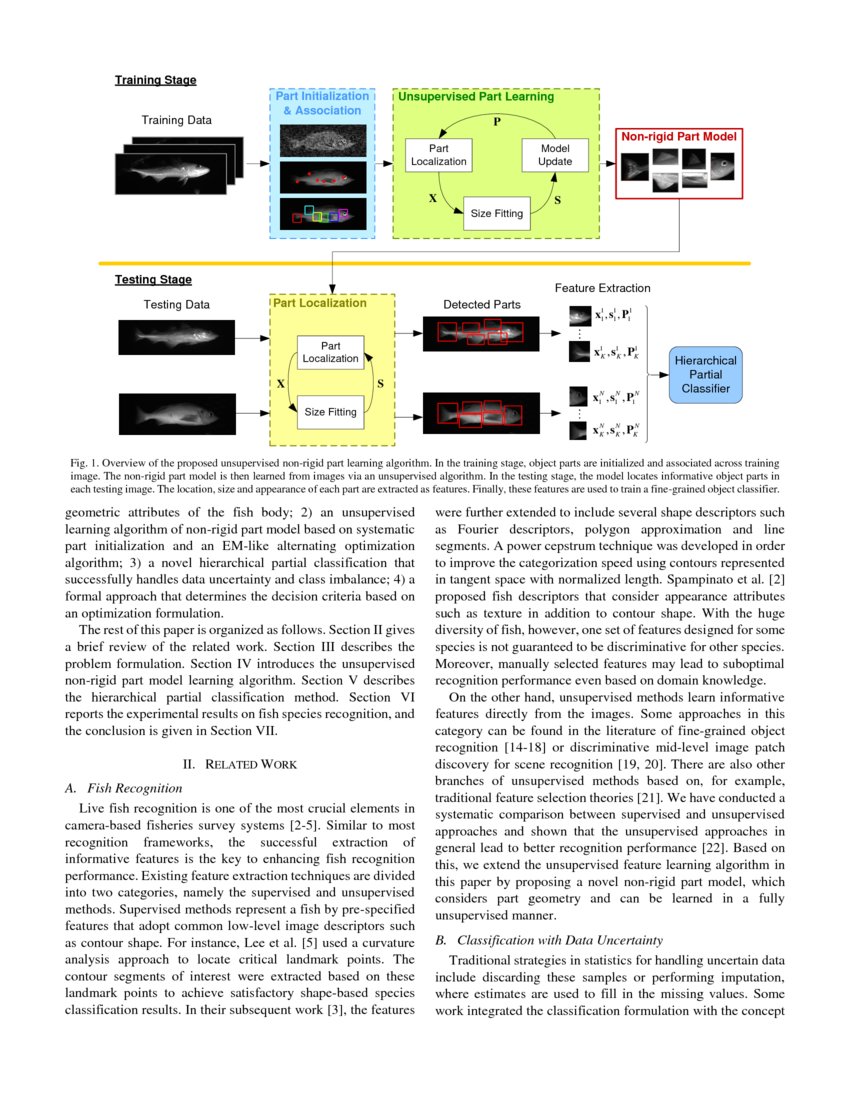 A Feature Learning and Object Recognition Framework for Underwater Fish Images | DeepAI