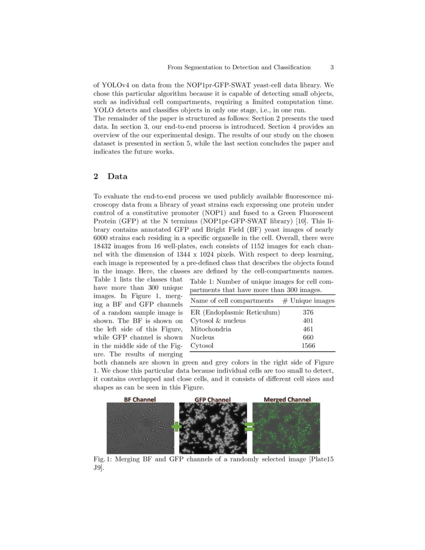 A fully automated end-to-end process for fluorescence microscopy images of yeast cells: From ...
