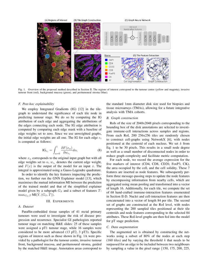 A Graph Based Neural Network Approach to Immune Profiling of Multiplexed Tissue Samples | DeepAI