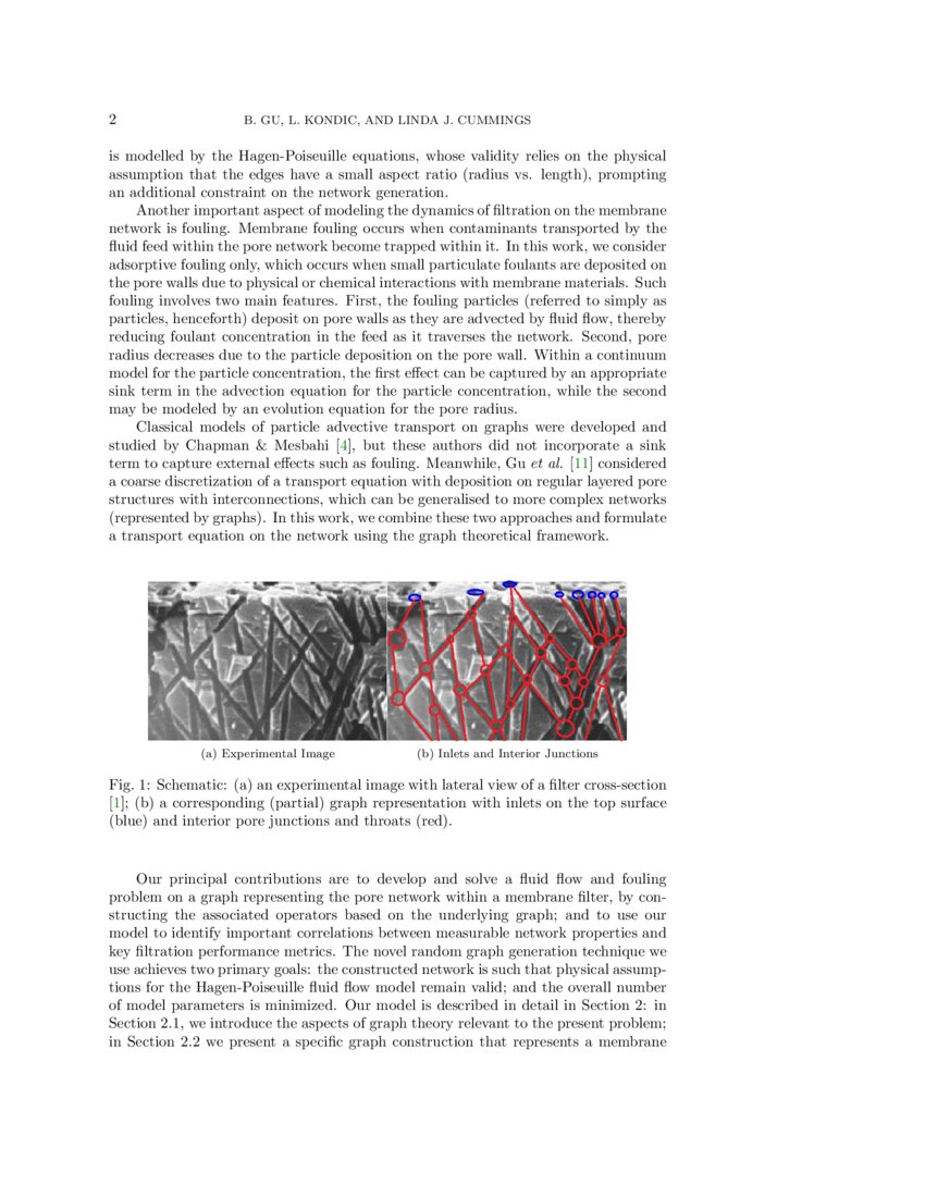 A Graphical Representation of Membrane Filtration | DeepAI