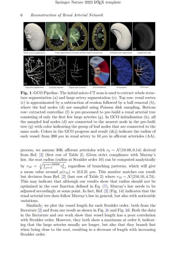 A Hybrid Approach to Full-Scale Reconstruction of Renal Arterial ...