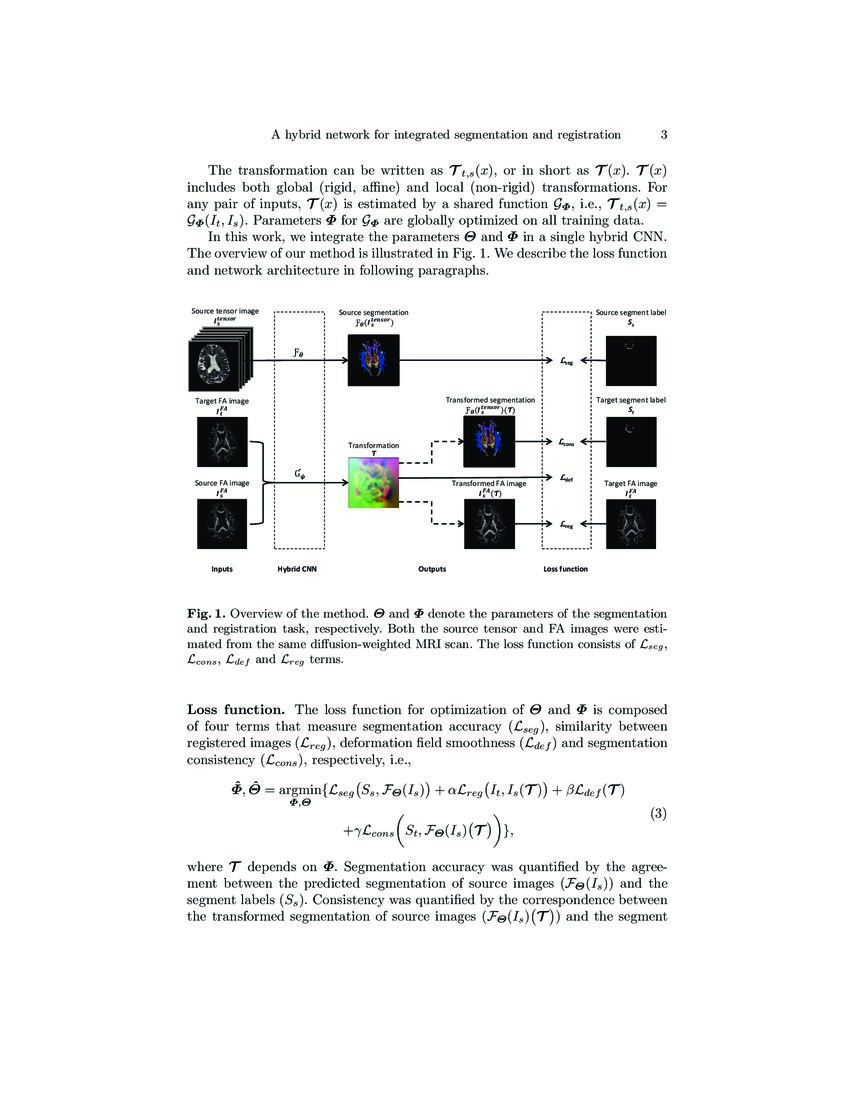 A hybrid deep learning framework for integrated segmentation and registration: evaluation on ...