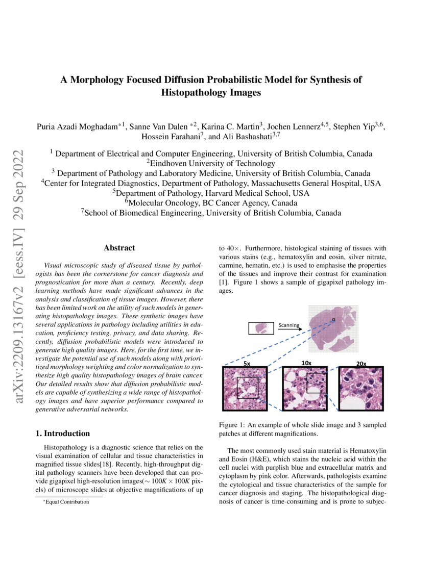 A Morphology Focused Diffusion Probabilistic Model for Synthesis of Histopathology Images | DeepAI
