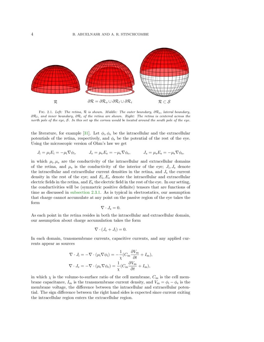 A Multi-Scale Simulation of Retinal Physiology | DeepAI