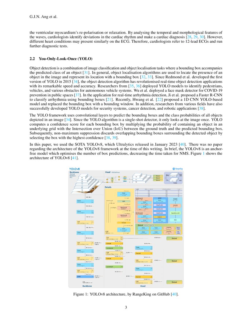 A Novel Application For Real Time Arrhythmia Detection Using Yolov8