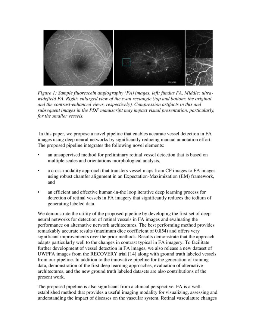 A Novel Deep Learning Pipeline for Retinal Vessel Detection in ...