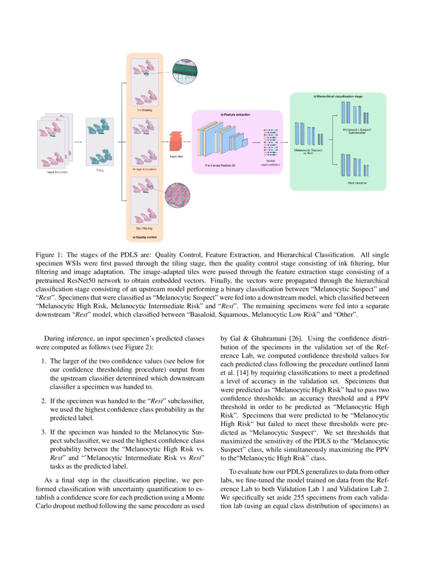 A Pathology Deep Learning System Capable of Triage of Melanoma ...