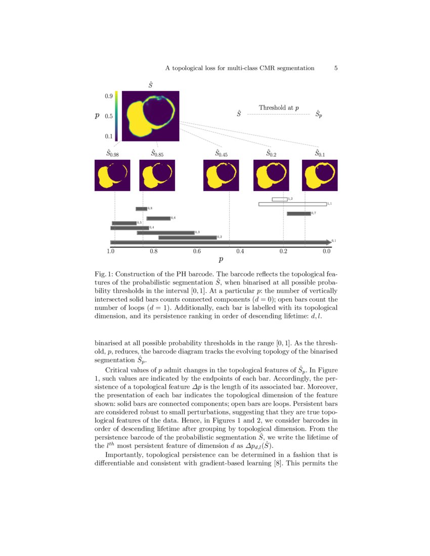 A persistent homology-based topological loss function for multi-class CNN segmentation of ...