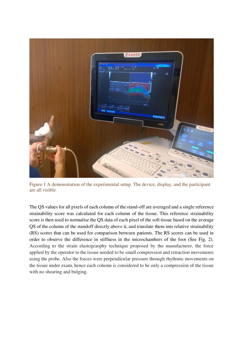 A quantitative comparison of plantar soft tissue strainability ...