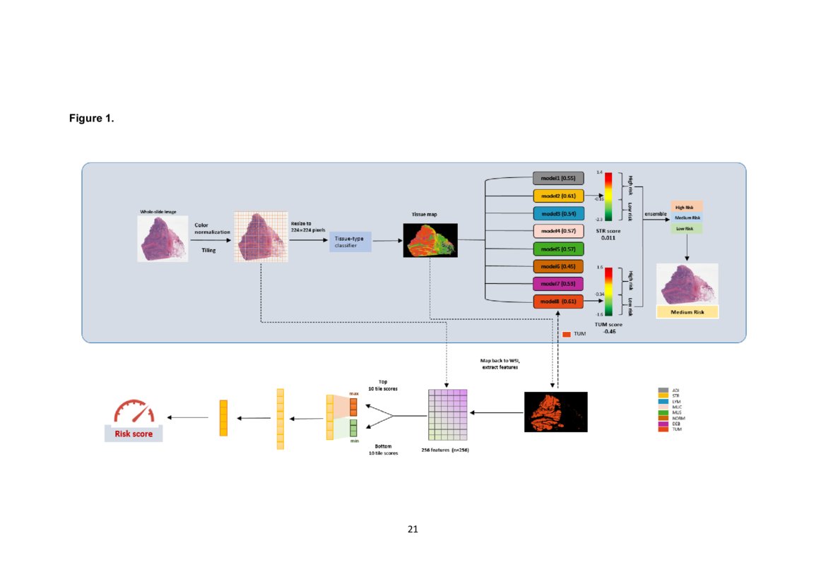 A Retrospective Analysis Using Deep Learning Models For Prediction Of Survival Outcome And