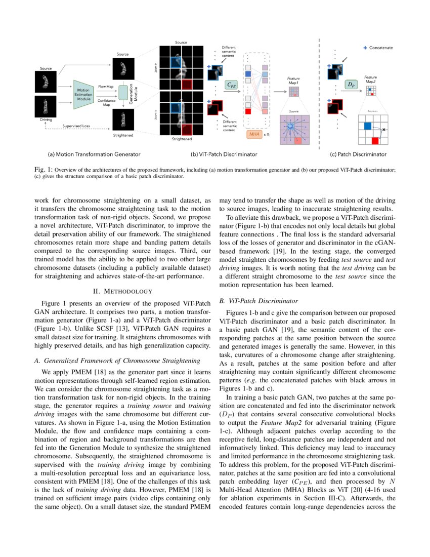 A Robust Framework of Chromosome Straightening with ViT-Patch GAN | DeepAI