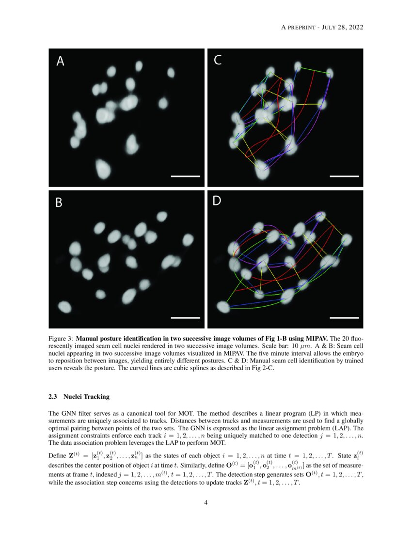 A Semi-automatic Cell Tracking Process Towards Completing the 4D Atlas ...