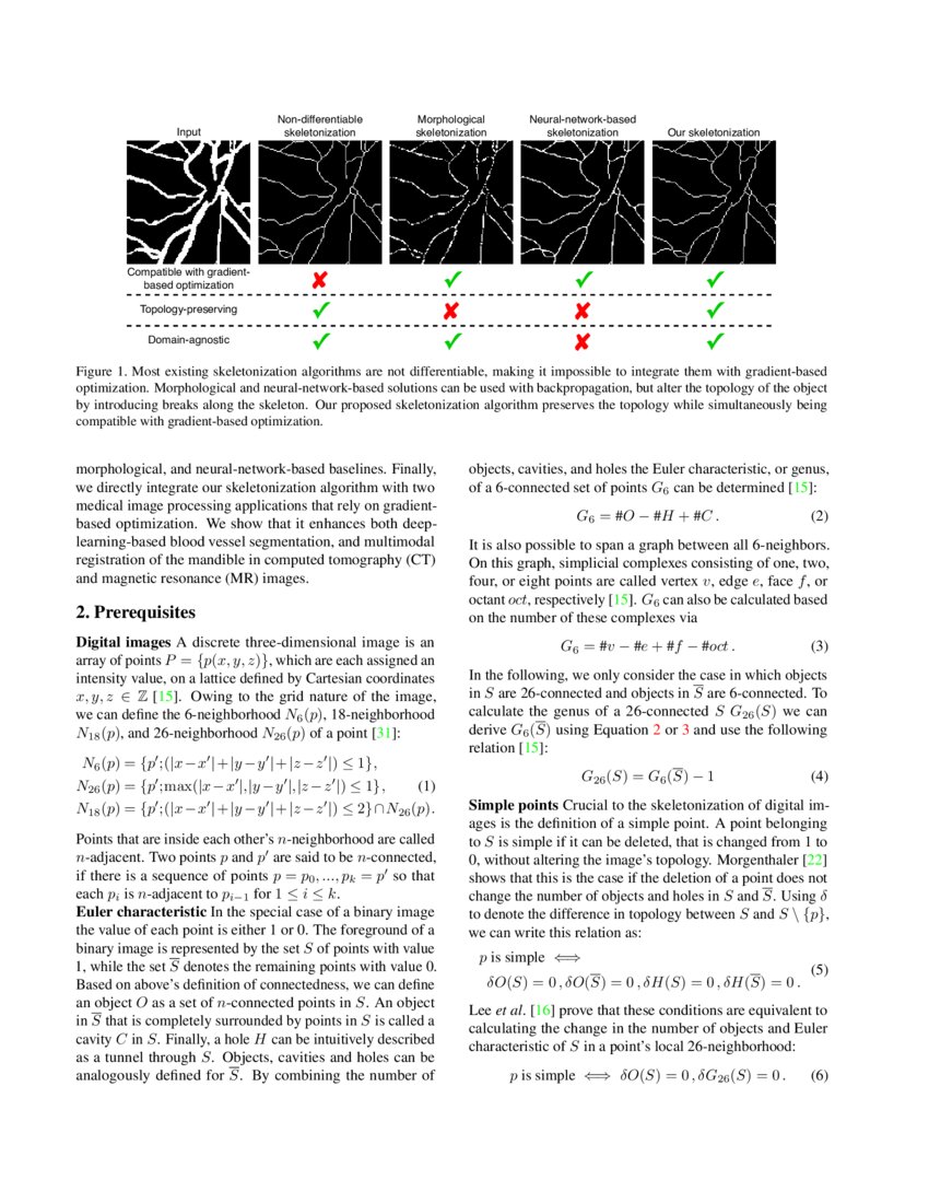 A Skeletonization Algorithm For Gradient Based Optimization Deepai