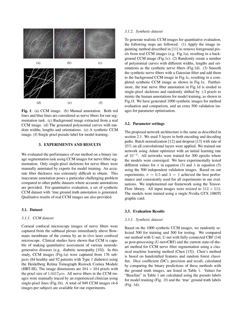 A Spatially Constrained Deep Convolutional Neural Network For Nerve Fiber Segmentation In
