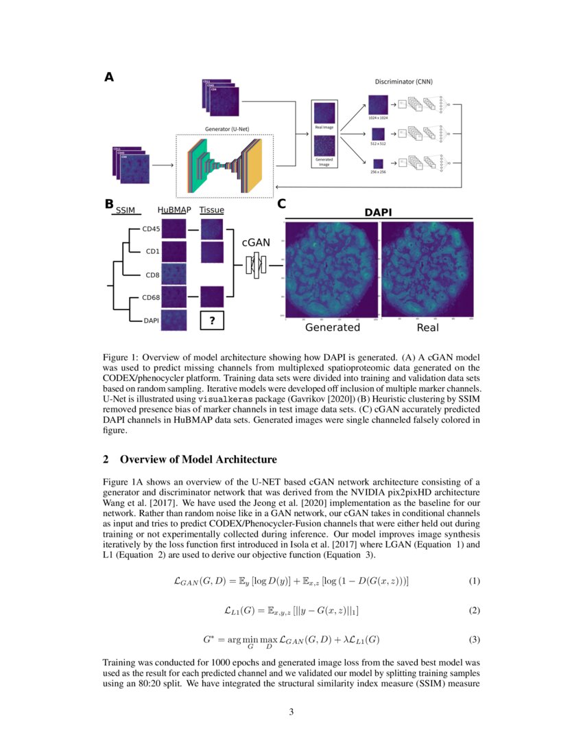 A SSIM Guided cGAN Architecture For Clinically Driven Generative Image Synthesis of Multiplexed ...
