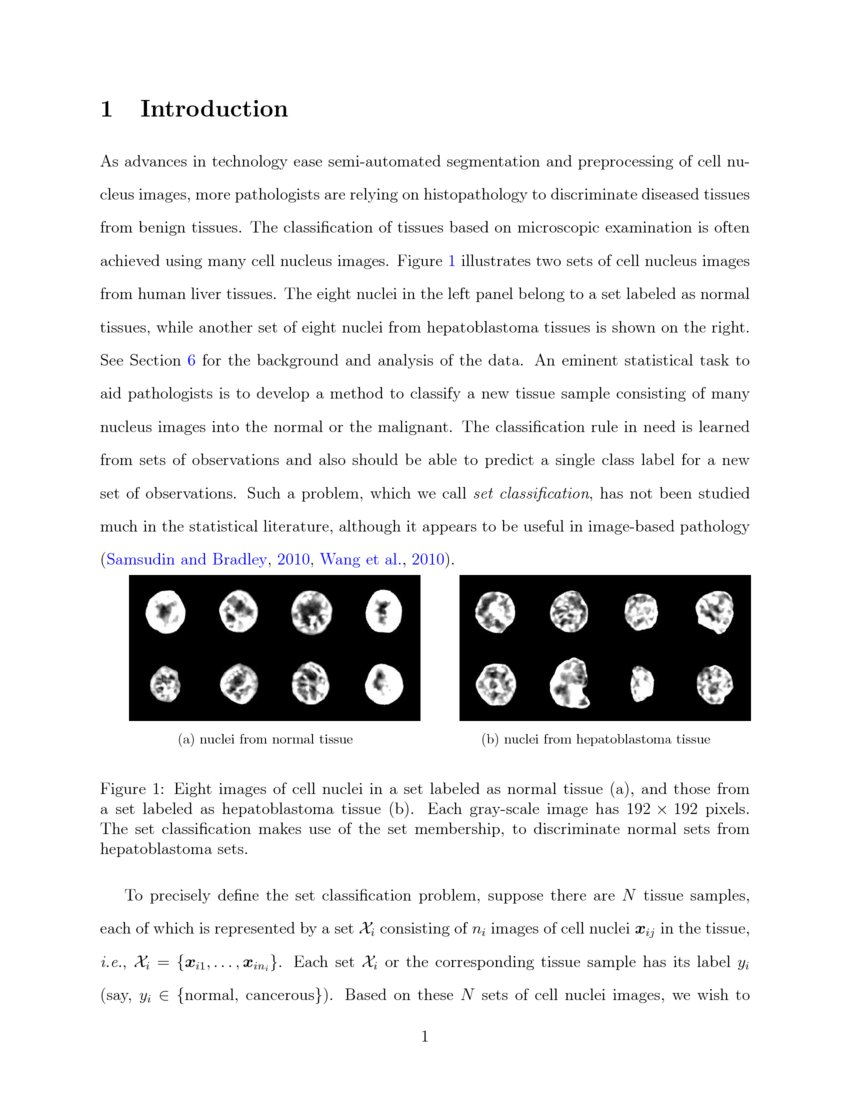 A Statistical Approach To Set Classification By Feature Selection With