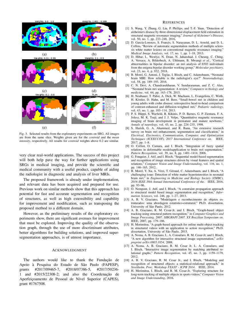 A Structural Graph-Based Method for MRI Analysis | DeepAI