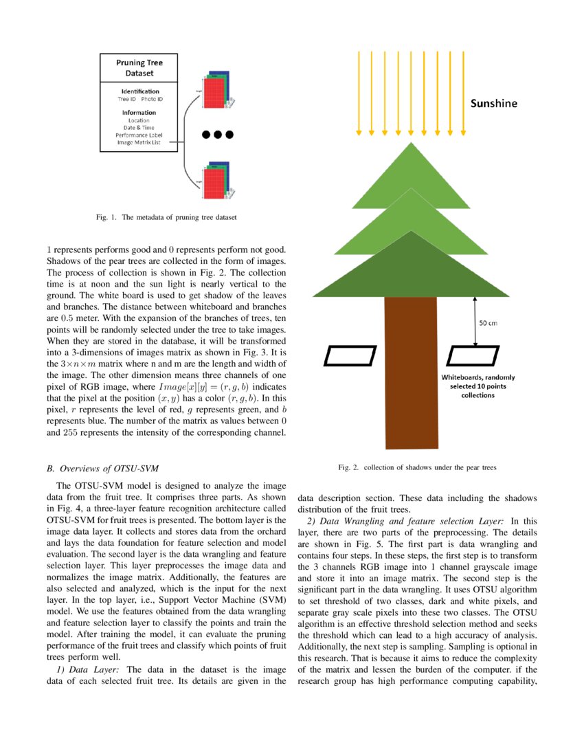 A Support Vector Model Of Pruning Trees Evaluation Based On Otsu 9921