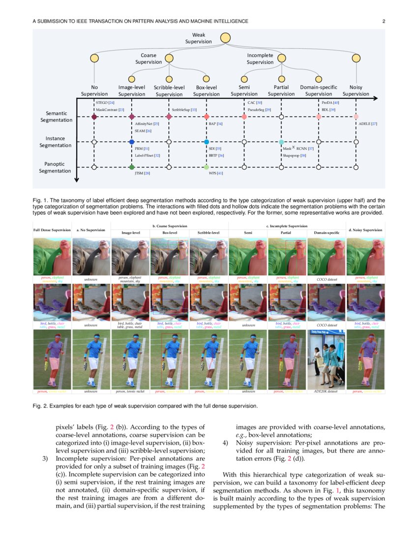 A Survey On Label Efficient Deep Segmentation Bridging The Gap Between