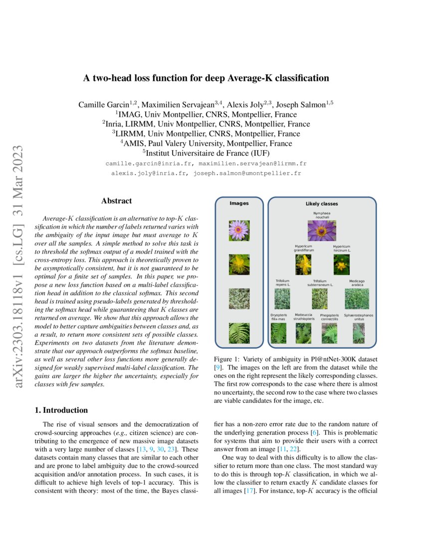 A two-head loss function for deep Average-K classification | DeepAI
