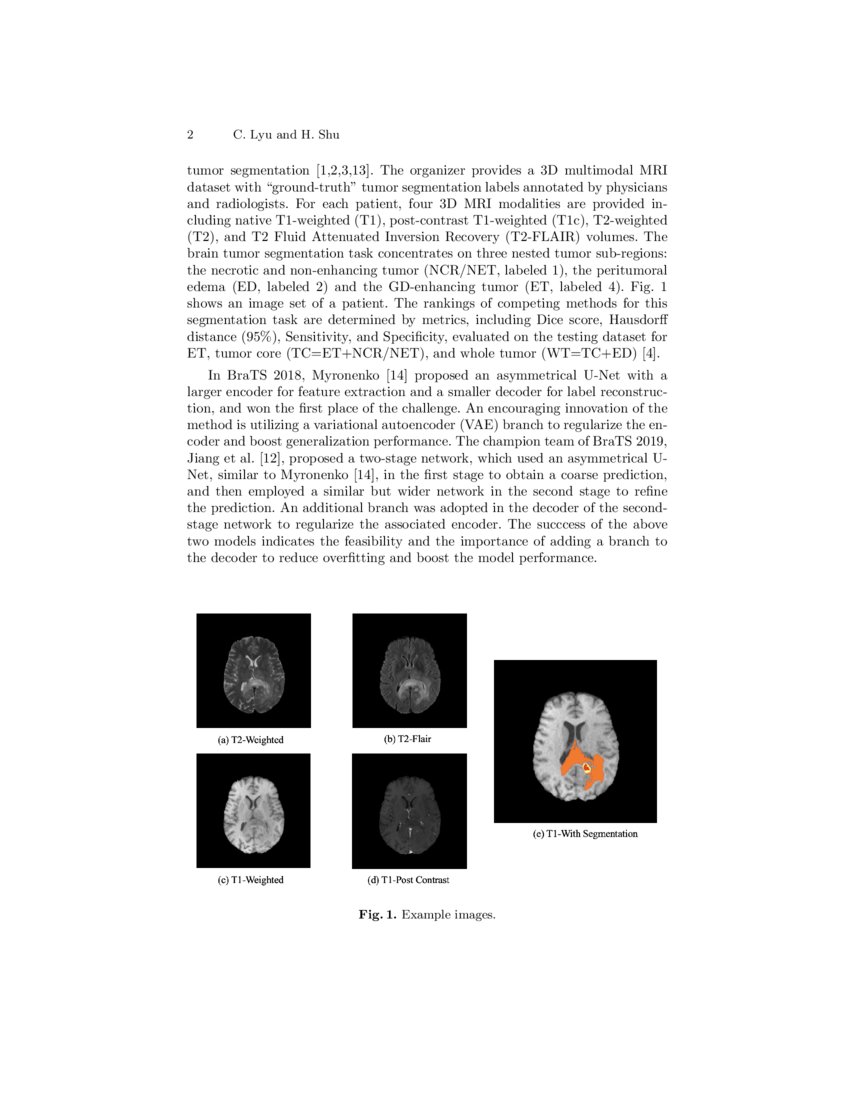 A Two-Stage Cascade Model with Variational Autoencoders and Attention ...