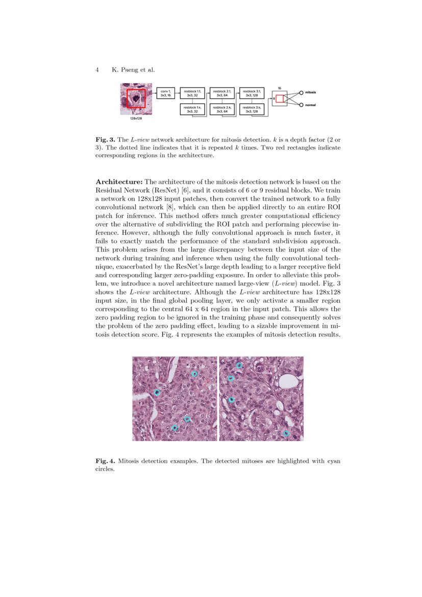 A Unified Framework For Tumor Proliferation Score Prediction In Breast Histopathology Deepai