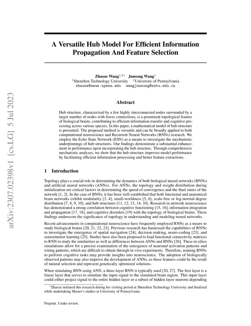 A Versatile Hub Model For Efficient Information Propagation And Feature