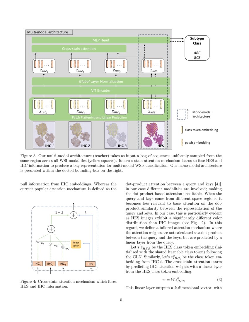 A Vision Transformer Based Framework For Knowledge Transfer From Multi Modal To Mono Modal