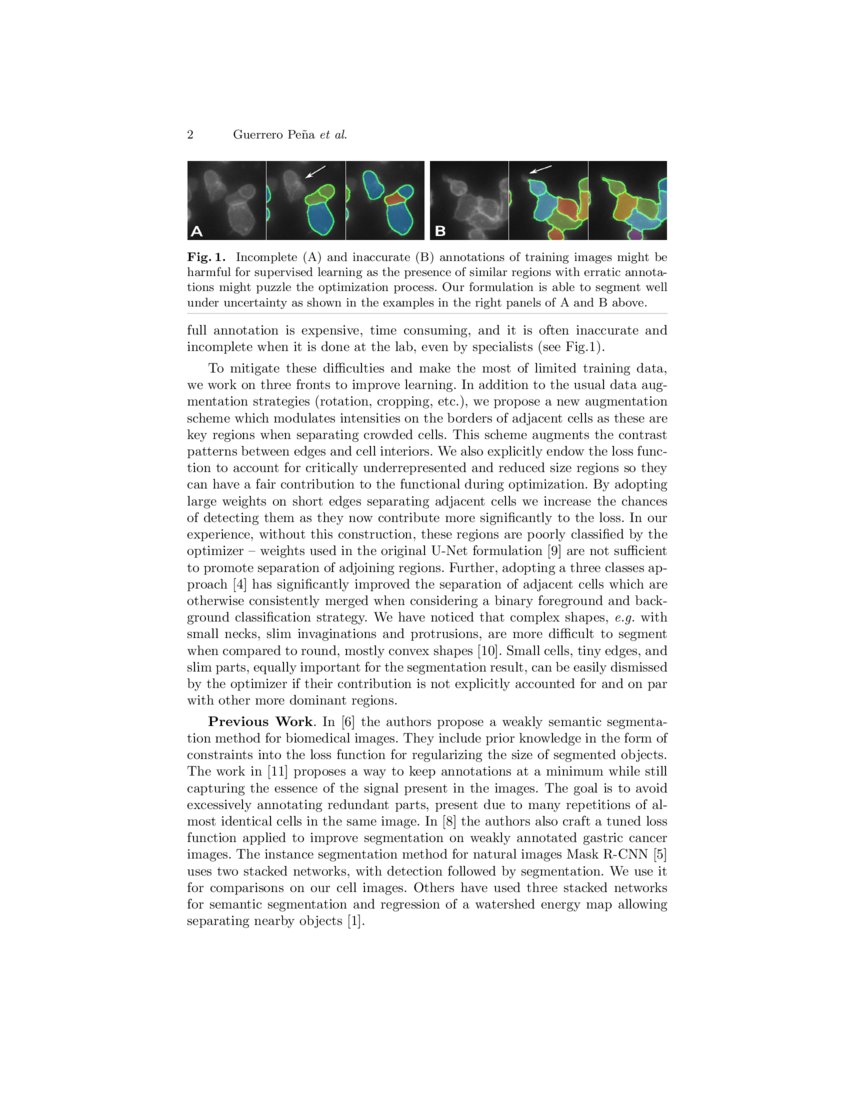 A Weakly Supervised Method For Instance Segmentation Of Biological