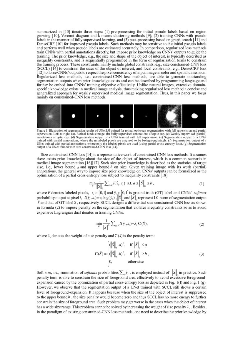 ACCL: Adversarial constrained-CNN loss for weakly supervised medical image segmentation | DeepAI