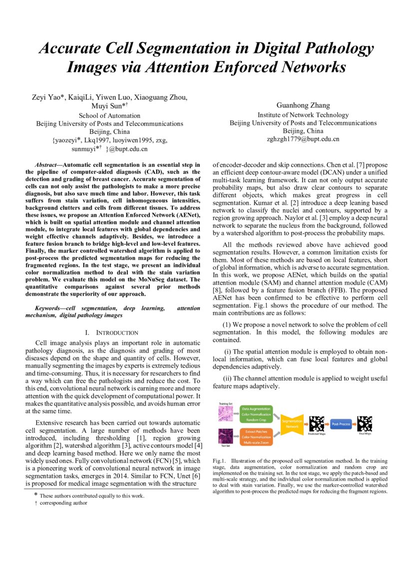 Accurate Cell Segmentation in Digital Pathology Images via Attention ...