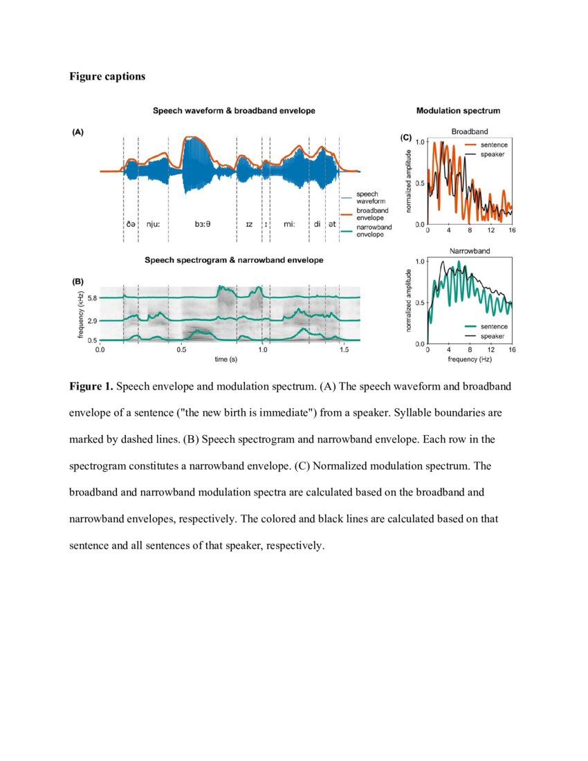 Acoustic Correlates Of The Syllabic Rhythm Of Speech Modulation