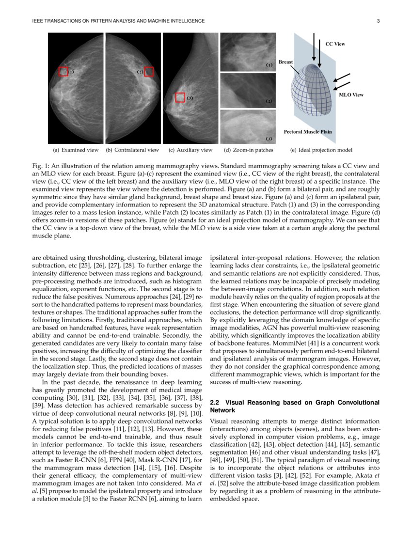 Act Like a Radiologist: Towards Reliable Multi-view Correspondence ...
