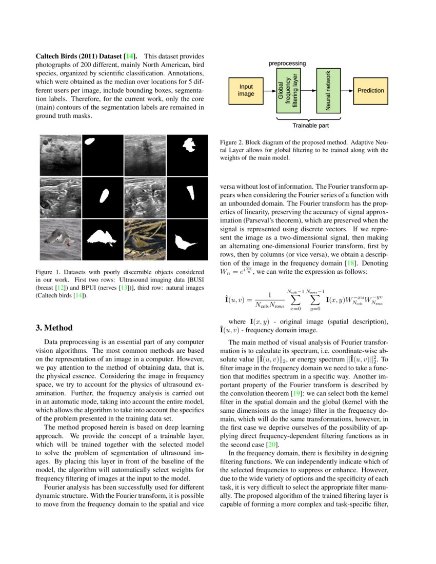 Adaptive Neural Layer for Globally Filtered Segmentation | DeepAI