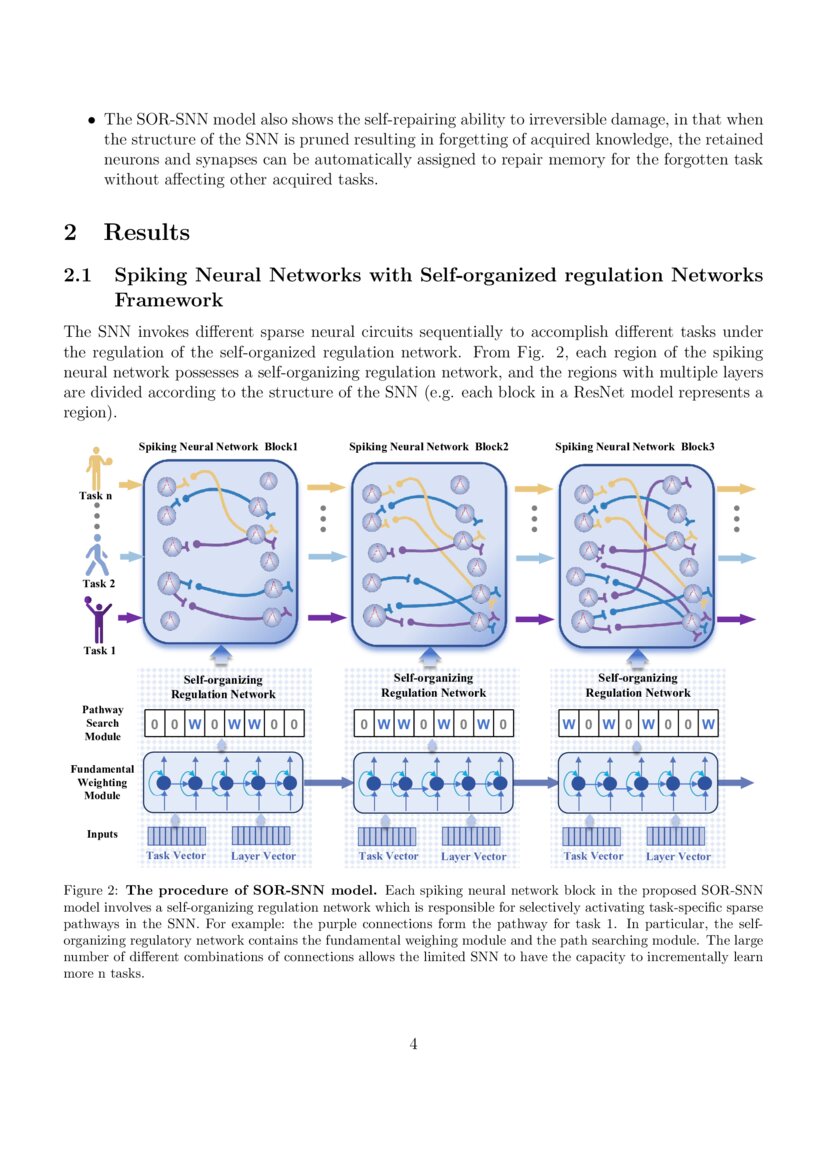 Adaptive Reorganization of Neural Pathways for Continual Learning with Hybrid Spiking Neural ...