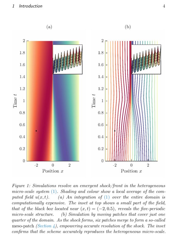 Adaptively detect and accurately resolve macro-scale shocks in an efficient Equation-Free ...