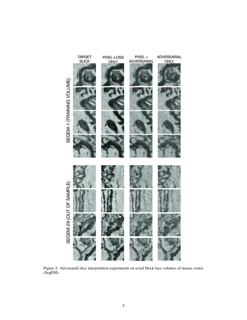 Adversarial Image Alignment and Interpolation | DeepAI