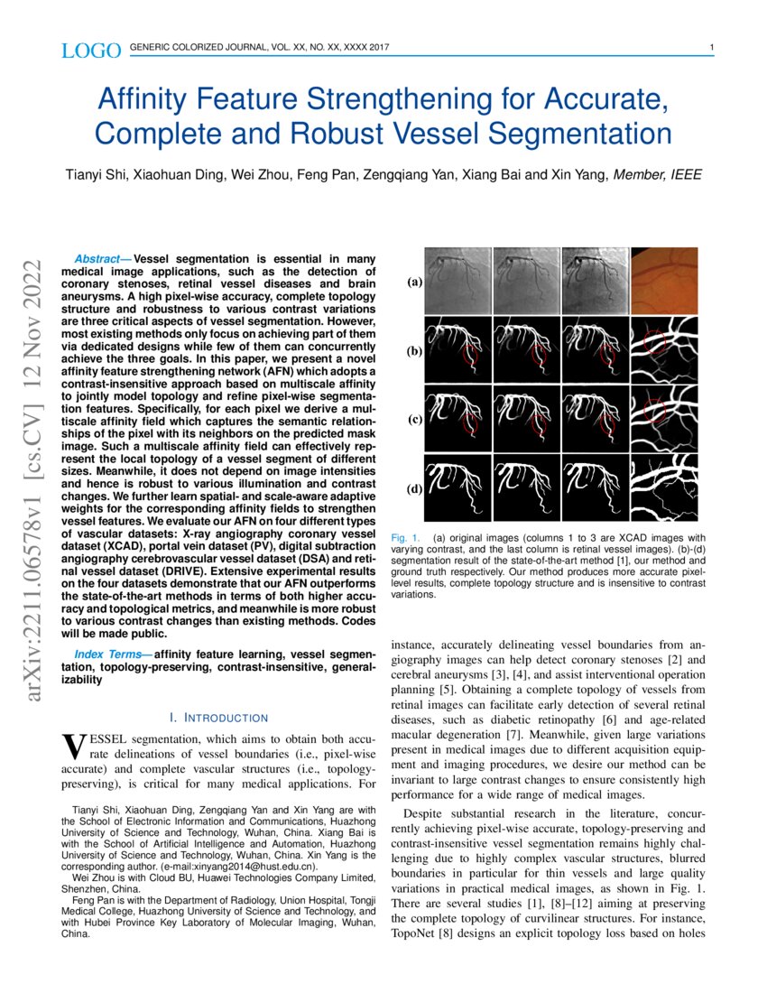 Affinity Feature Strengthening for Accurate, Complete and Robust Vessel Segmentation | DeepAI