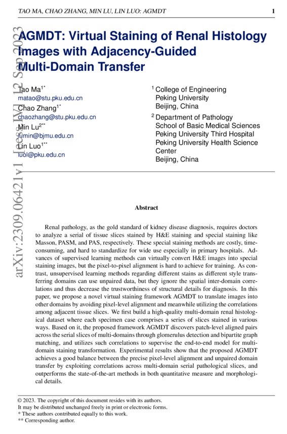 AGMDT: Virtual Staining of Renal Histology Images with Adjacency-Guided ...