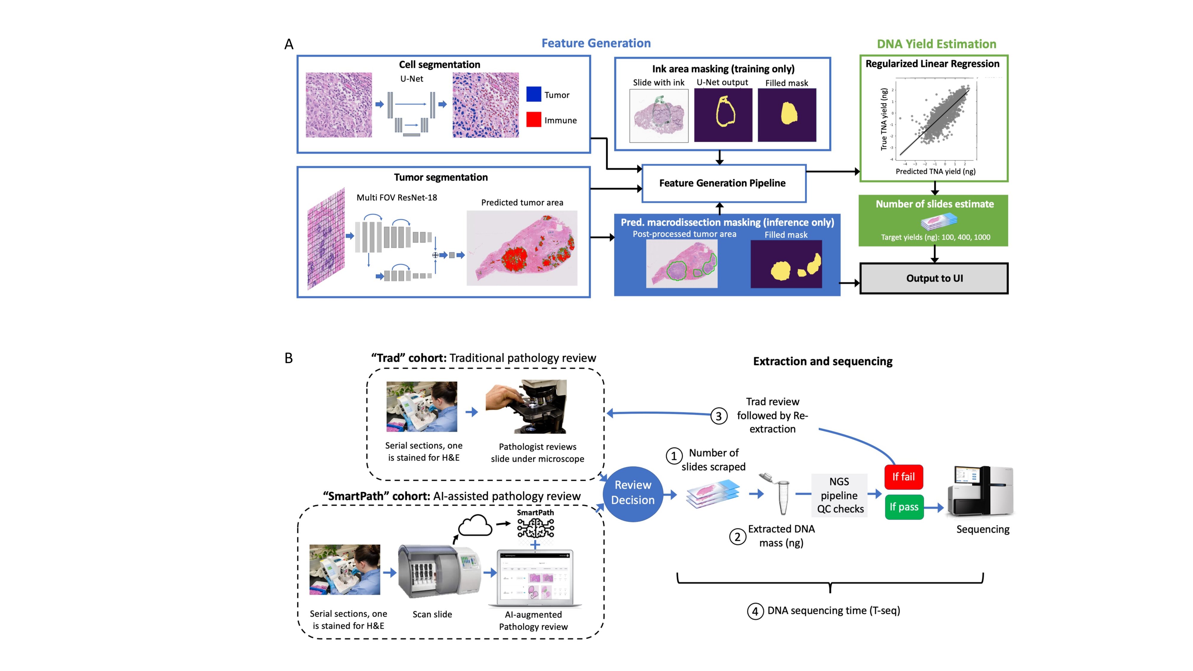 AI-augmented histopathologic review using image analysis to optimize DNA yield and tumor purity ...