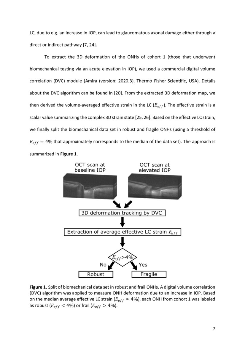 AI-based Clinical Assessment of Optic Nerve Head Robustness Superseding ...