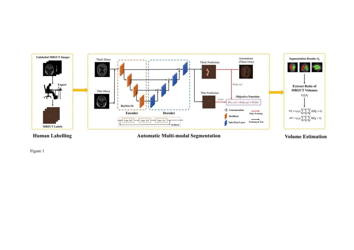 AI-based Medical e-Diagnosis for Fast and Automatic Ventricular Volume ...