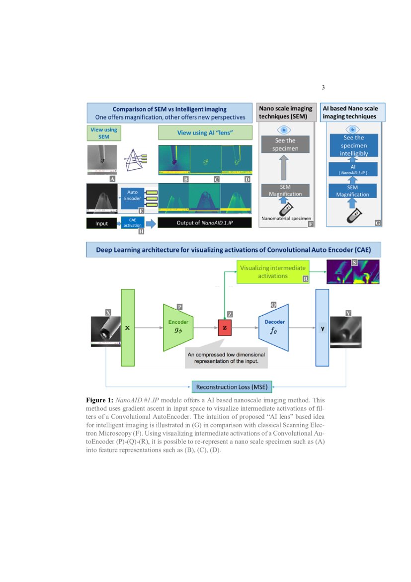AI visualization in Nanoscale Microscopy | DeepAI