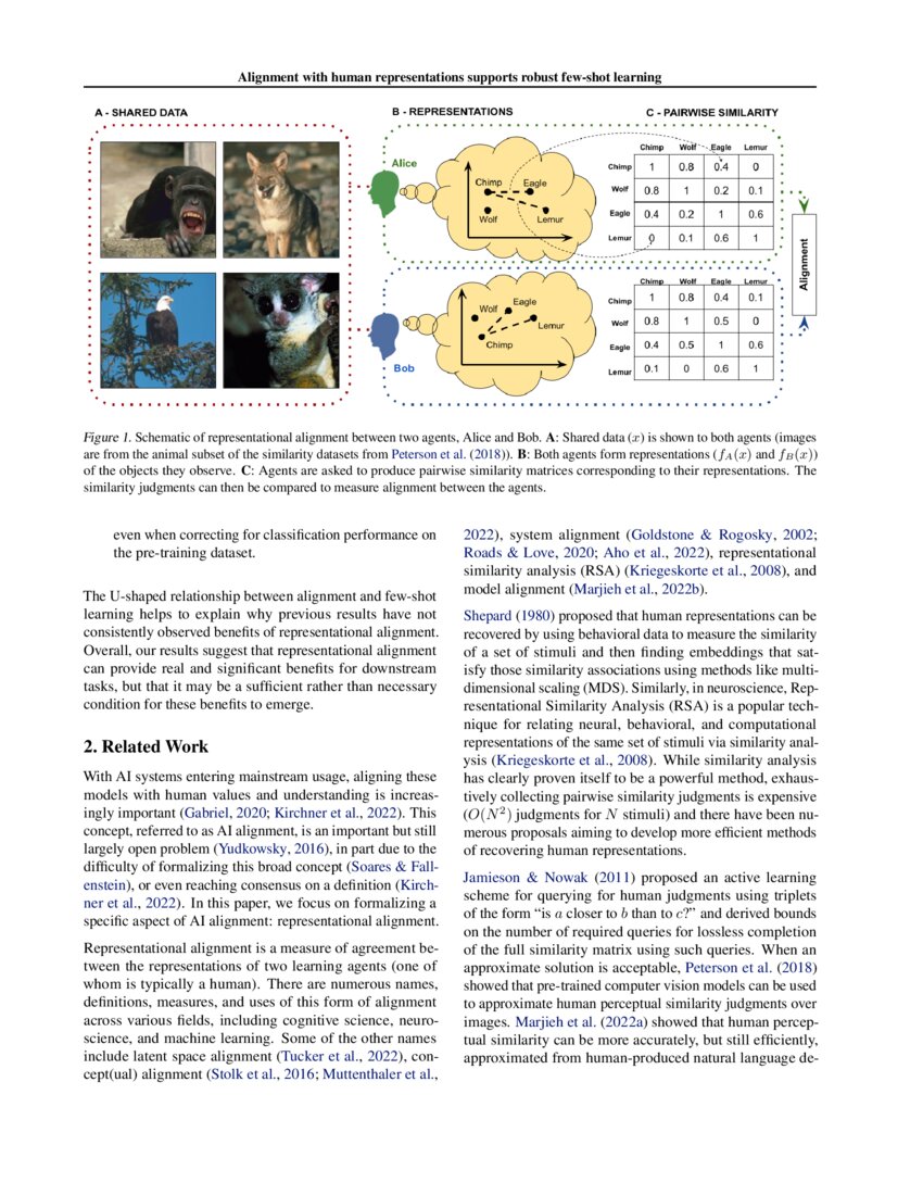 Alignment with human representations supports robust few-shot learning | DeepAI