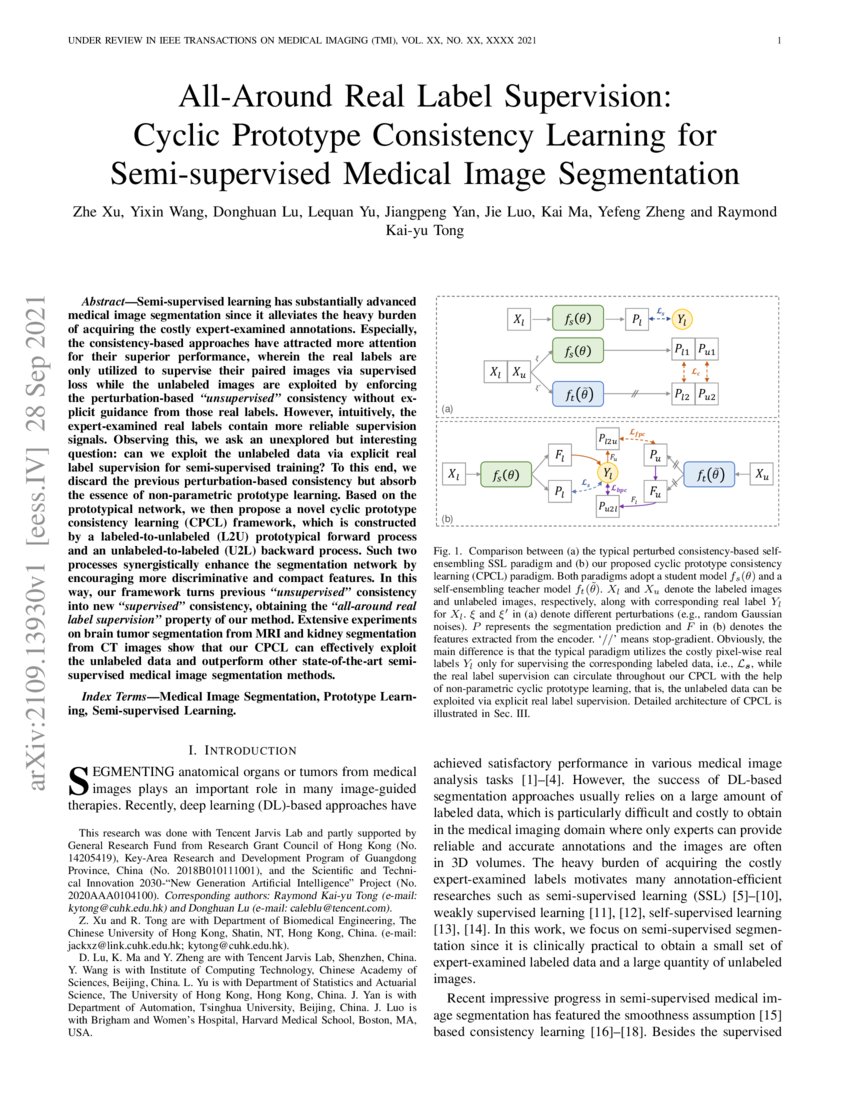 All-Around Real Label Supervision: Cyclic Prototype Consistency Learning for Semi-supervised ...