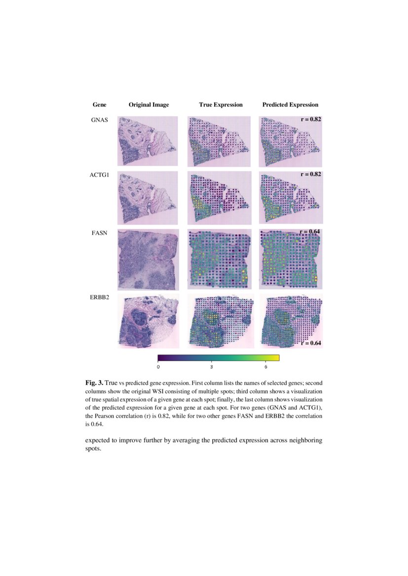 All You Need is Color: Image based Spatial Gene Expression Prediction using Neural Stain ...