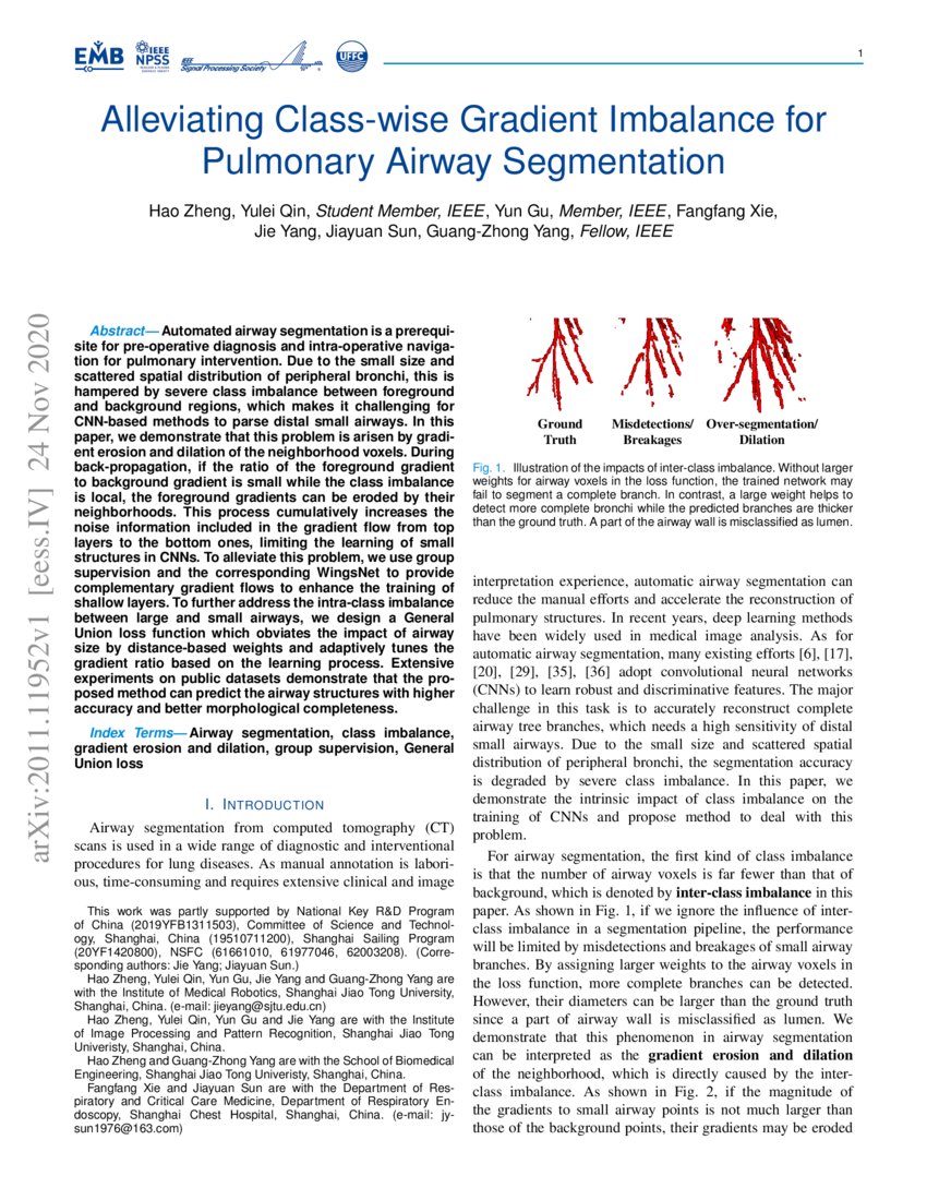 Alleviating Class-wise Gradient Imbalance for Pulmonary Airway Segmentation | DeepAI